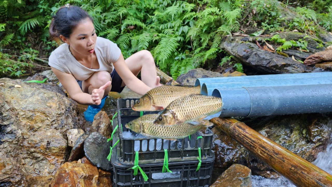 The girl used a PVC pipe as a fish trap and unexpectedly caught a lot ...