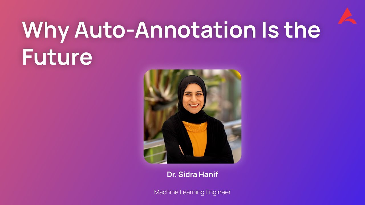 Why Auto-Annotation Is the Future - YouTube