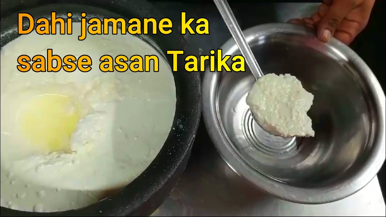Dahi jamane ka sahi Tarika | Dahi jamane ka secret formula | Perfect ...