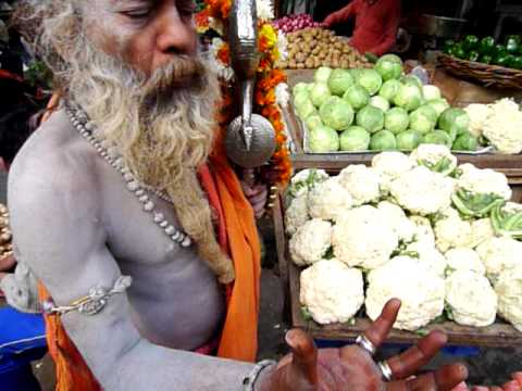 Amazing Shiva Raja Giri Sadhu blames Monsanto Mother India Delhi Aum O ...