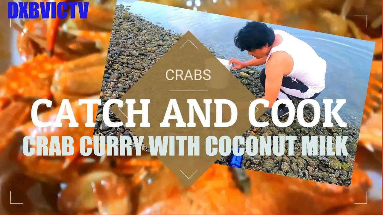 CRABS CURRY WITH COCONUT MILK / CATCH AND COOK - YouTube