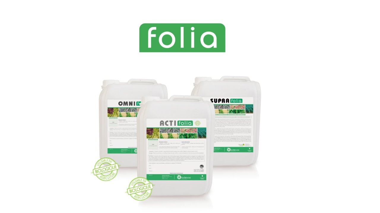 FOLIA : Cultures à fort développement foliacé - YouTube