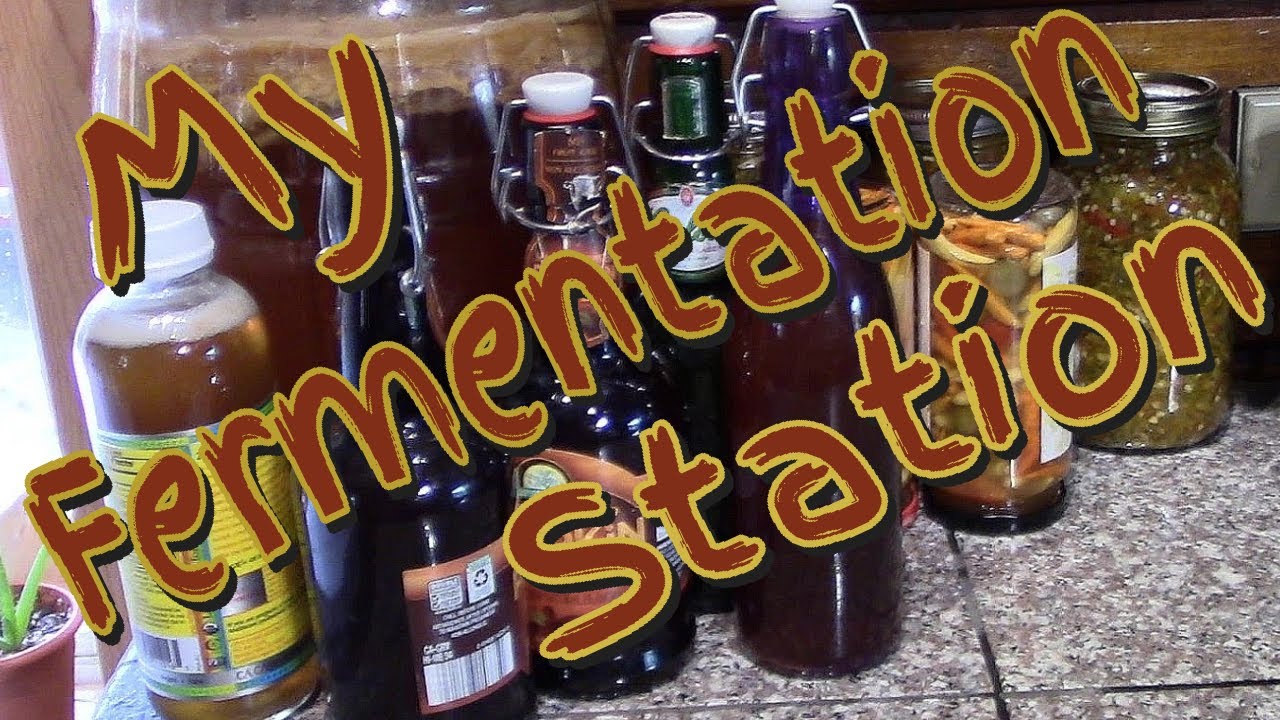 My Fermentation Station - YouTube