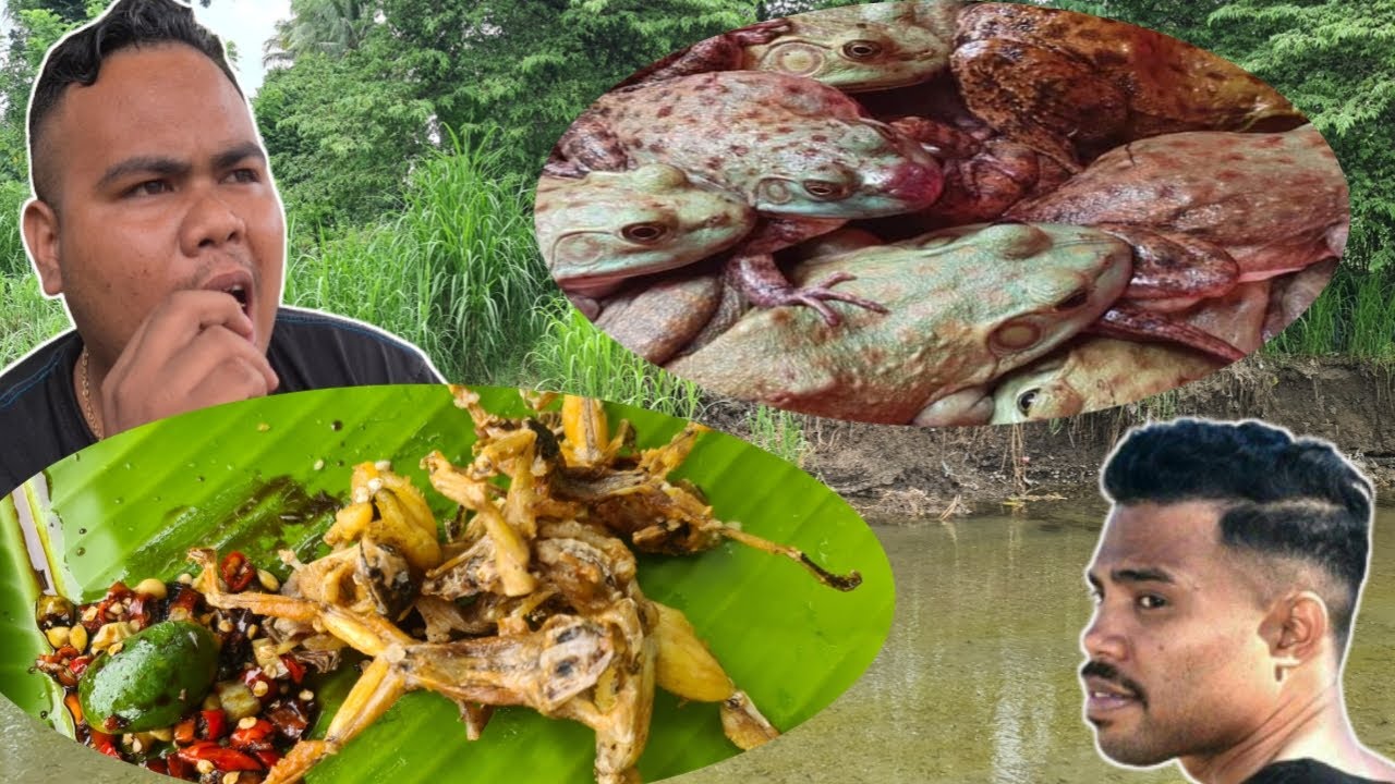 Berburu Katak + Ikan Langsung Dimasak Di Kali Benpasi😱🤤!!! - YouTube