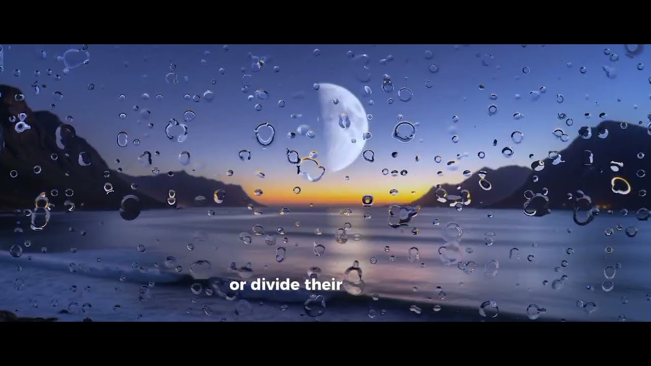 One Hour Rule – Transform Your Mind, Skills & Future - YouTube