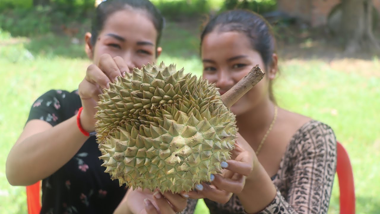 Yummy & Sweet - Pick durian fruit from farm for eating - YouTube