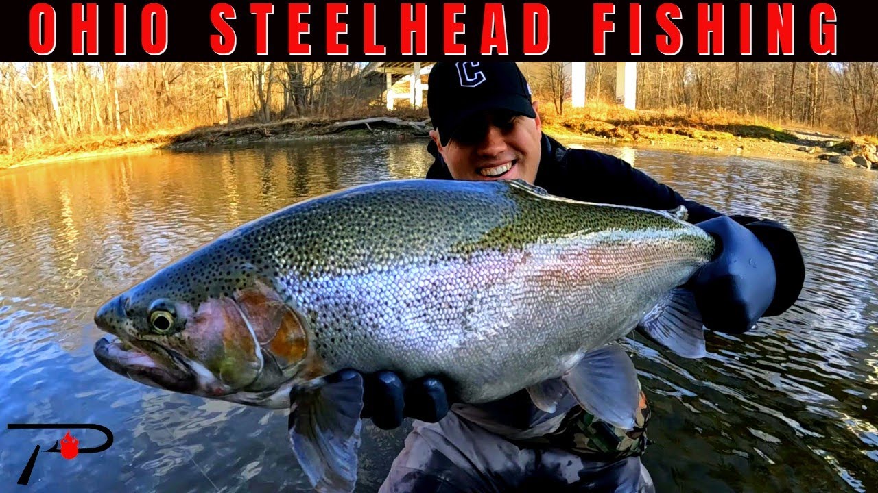 Northern Ohio Steelhead Fishing - YouTube
