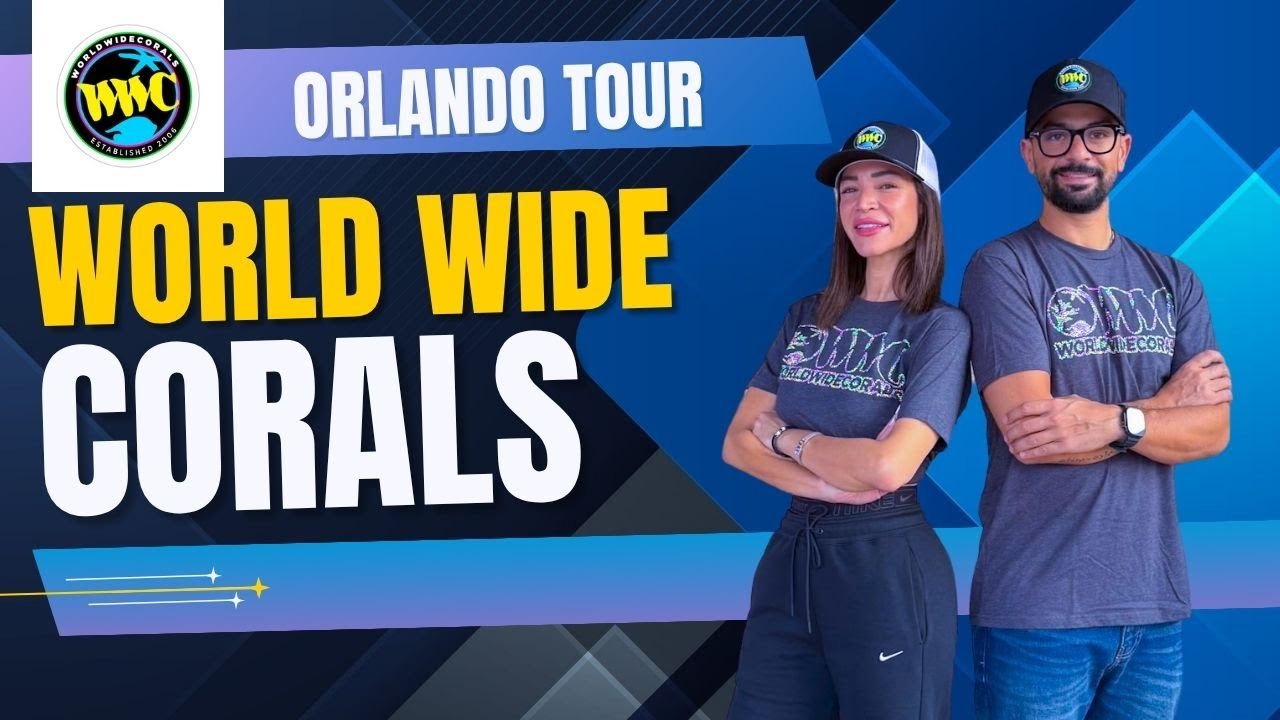 Reef Life Goes Inside World Wide Corals: Full Tour of WWC Orlando’s ...