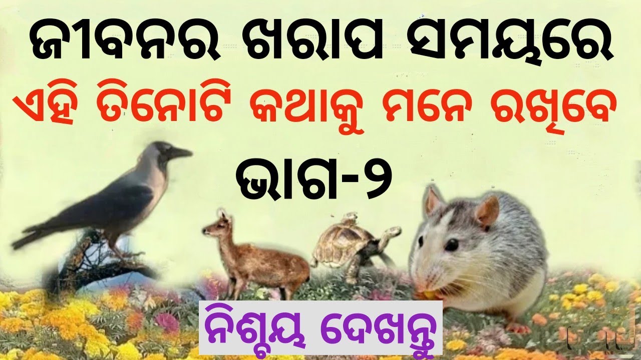 Learn three things from crow and rat to be happy in life। Part - 2 ...