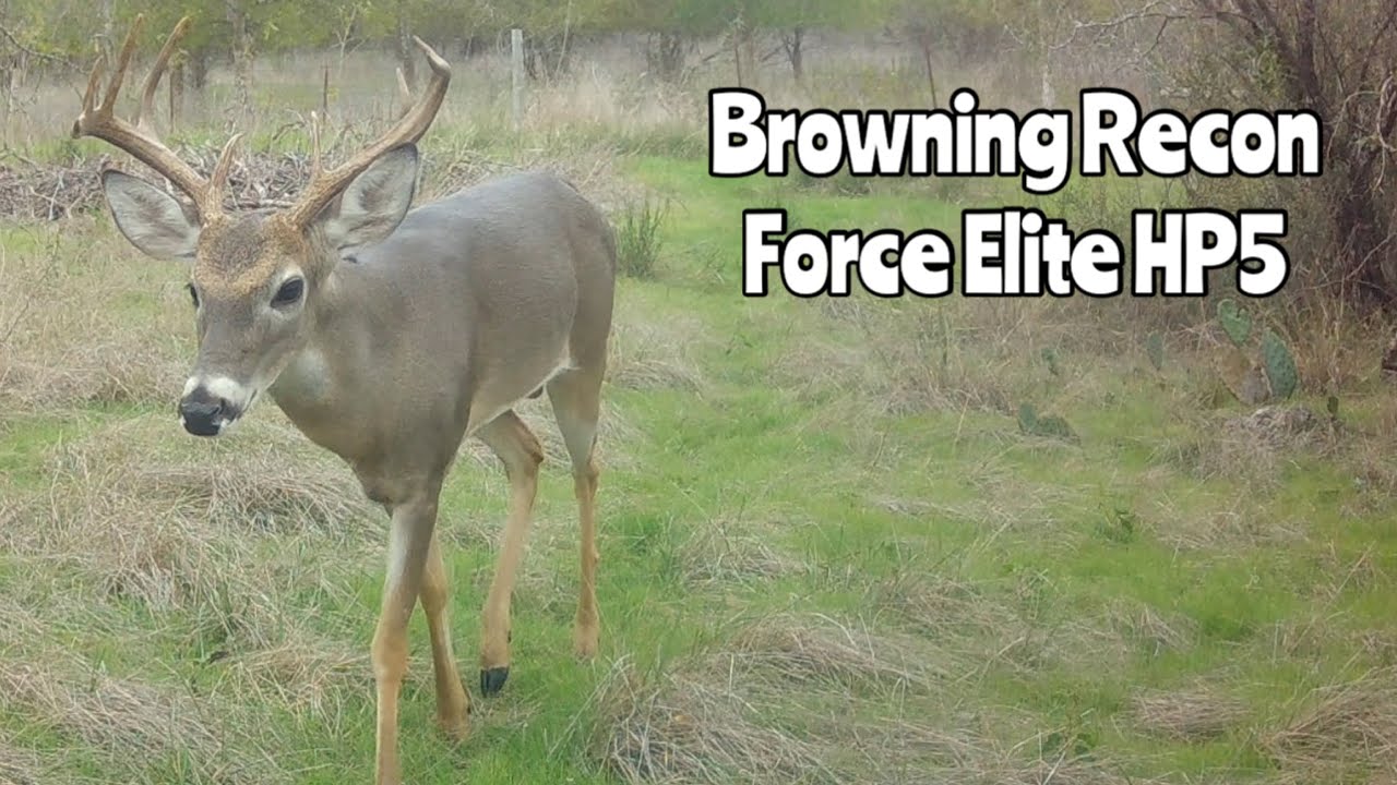 Browning Recon Force Elite HP5 Nov. 9-21, 2023 - YouTube