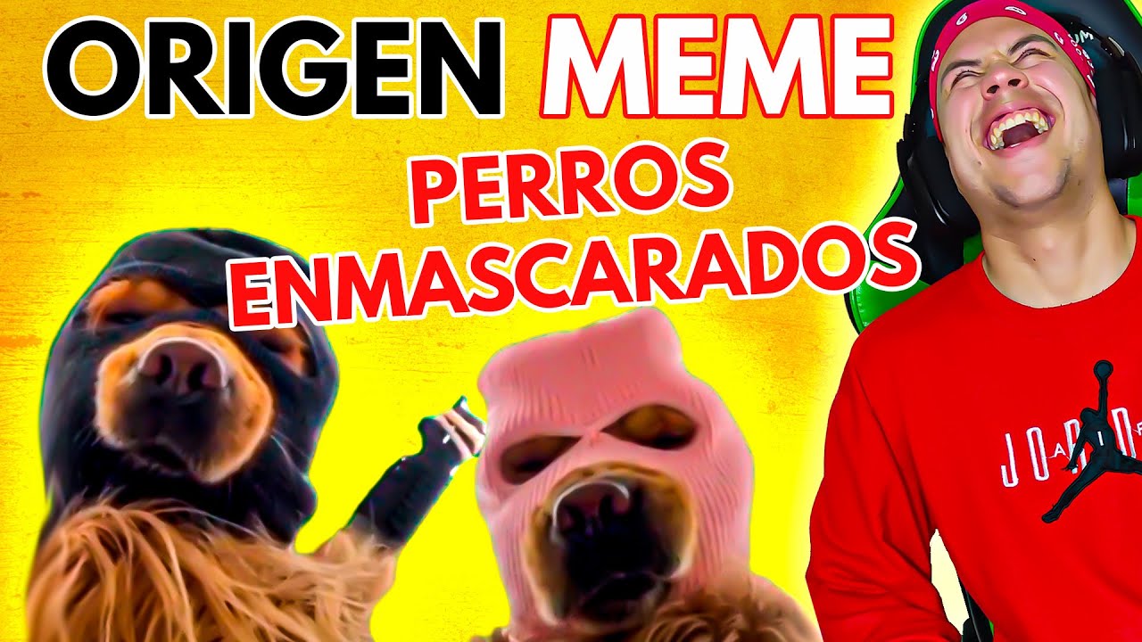 ¡HISTORIA de los PERRITOS LADRONES en solo 2 MINUTOS! 🐕 🐶 - YouTube