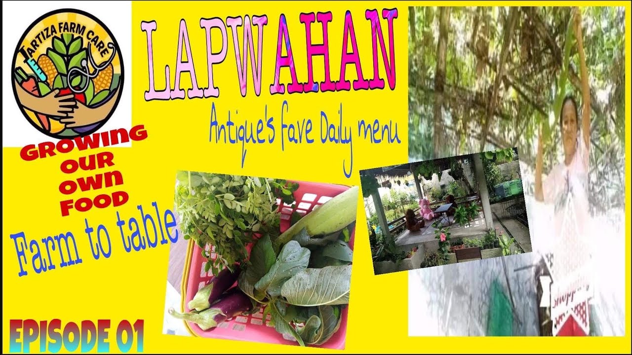 HOW DO WE COOK LINAPWAHAN MENU freshly picked veges from our Little ...