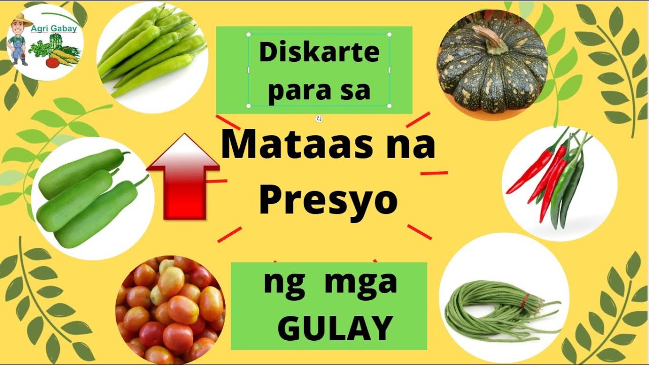 Diskarte para sa Mataas na presyo ng Gulay (Agrigabay) - YouTube