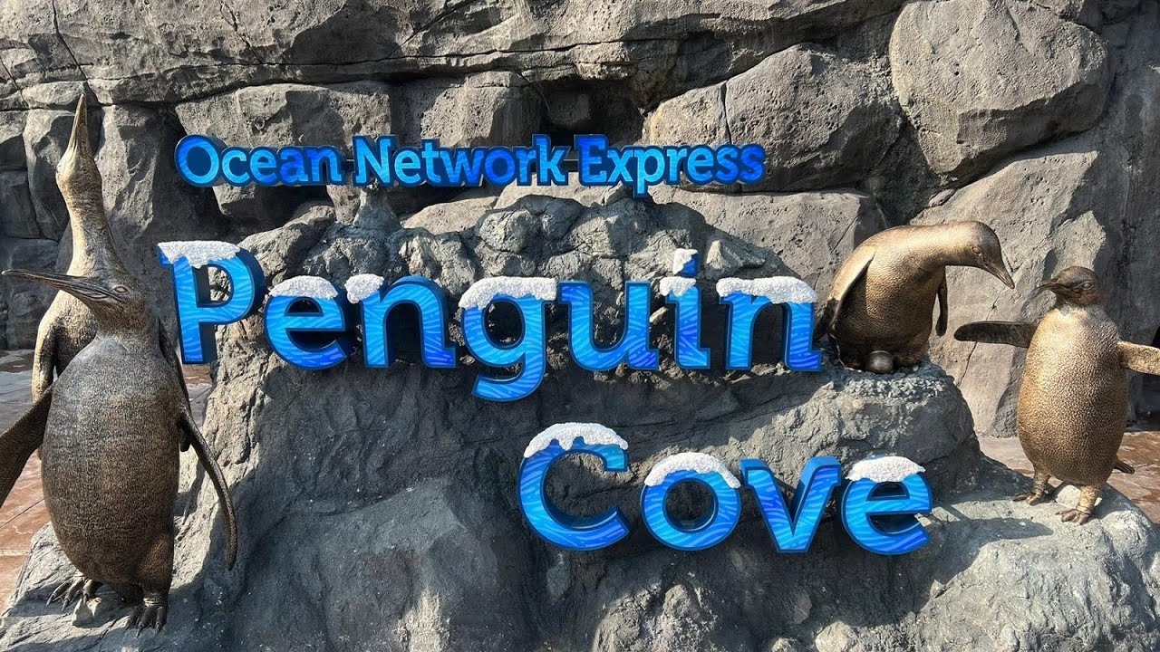 పెంగ్విన్ కోవ్ /Penguin🐧 Cove/SINGAPORE/Birds peak#animals/Singapore # ...