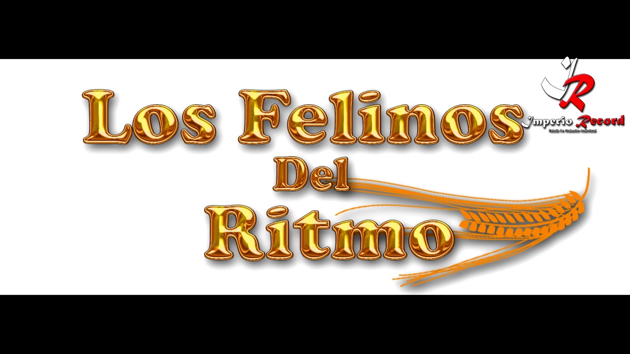 Los Felinos Del Ritmo - Mix Bailao - 2019 - YouTube