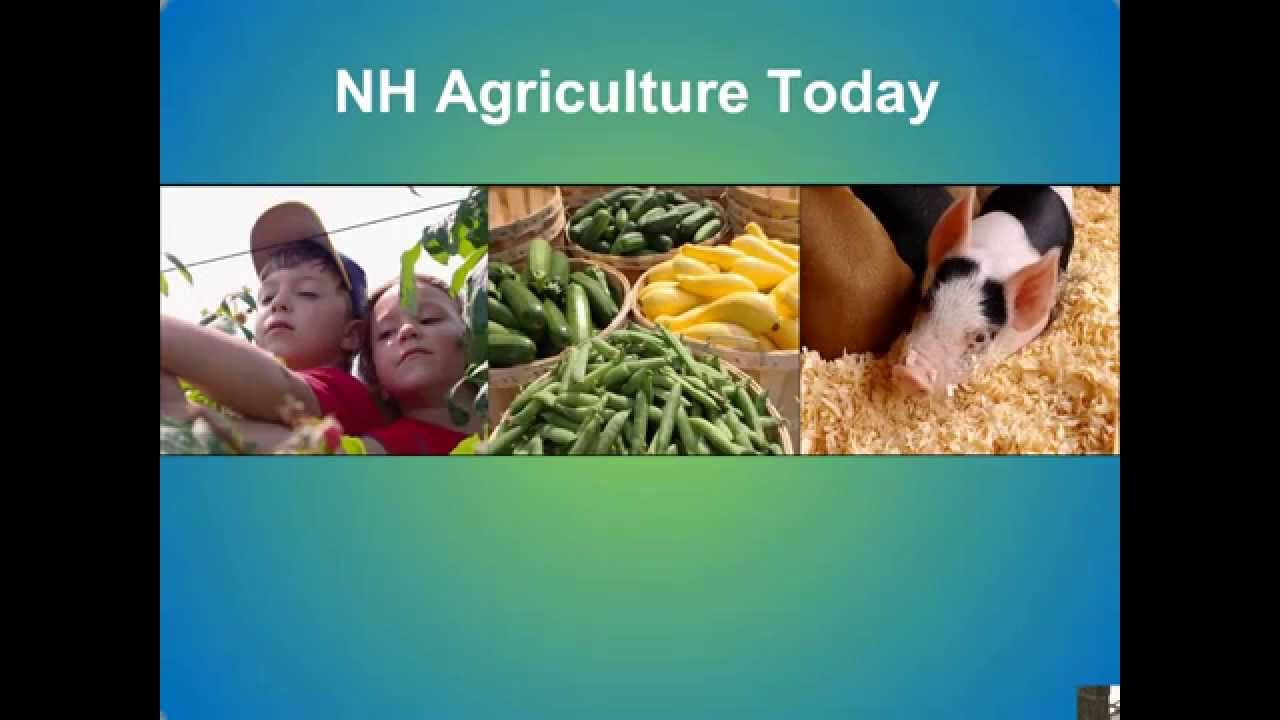 NH Agriculture Today 2015 - YouTube