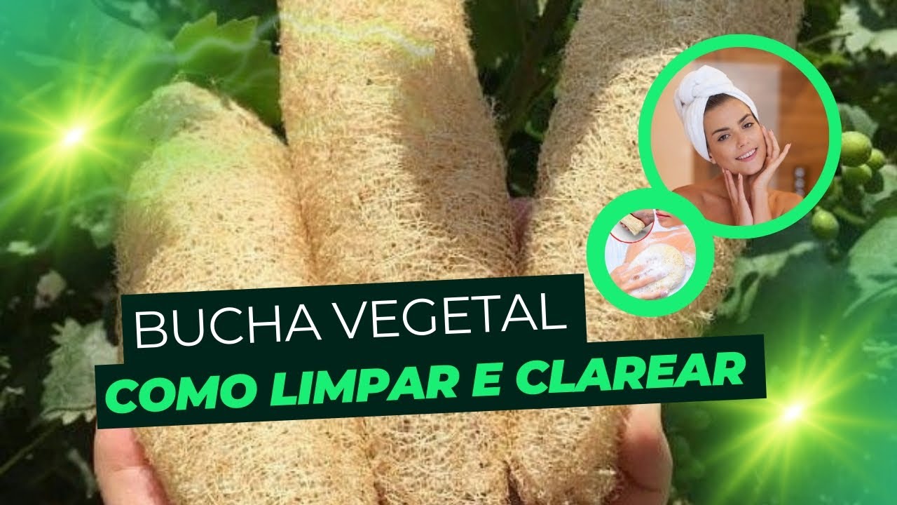 Dicas de como limpar e clarear bucha vegetal - YouTube