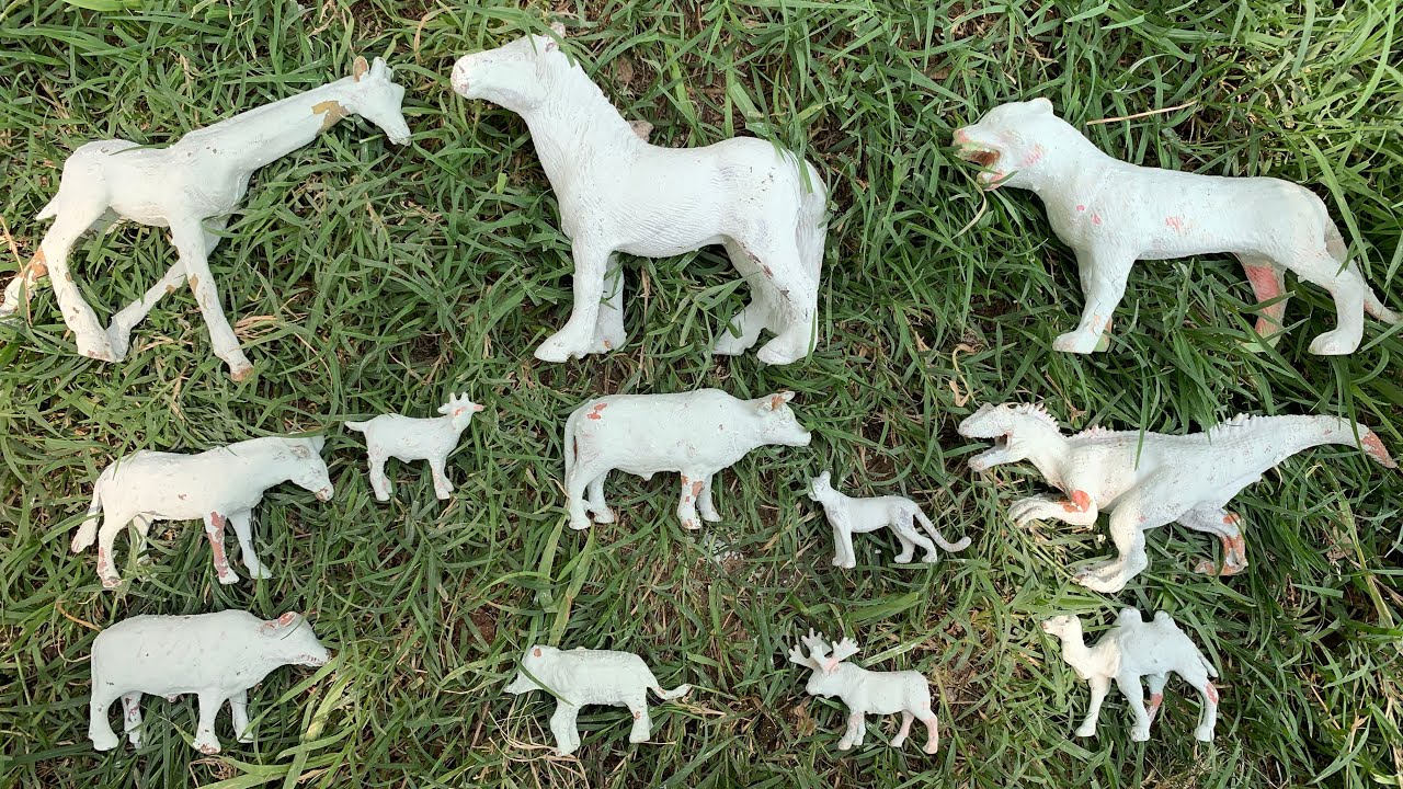 Animals collection farm | different animals collection zoo animals ...