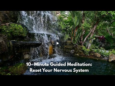 10 Minute Guided Meditation Reset Your Nervous System - YouTube