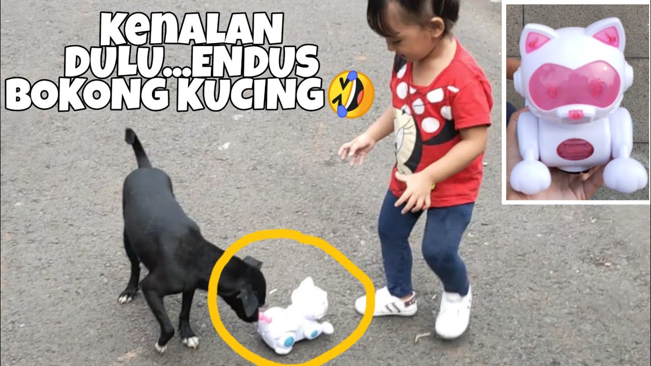 EMMA PRANK A DOG WITH A ROBOT CAT🐱 ISENGIN ANJING DENGAN MAINAN ANAK ...