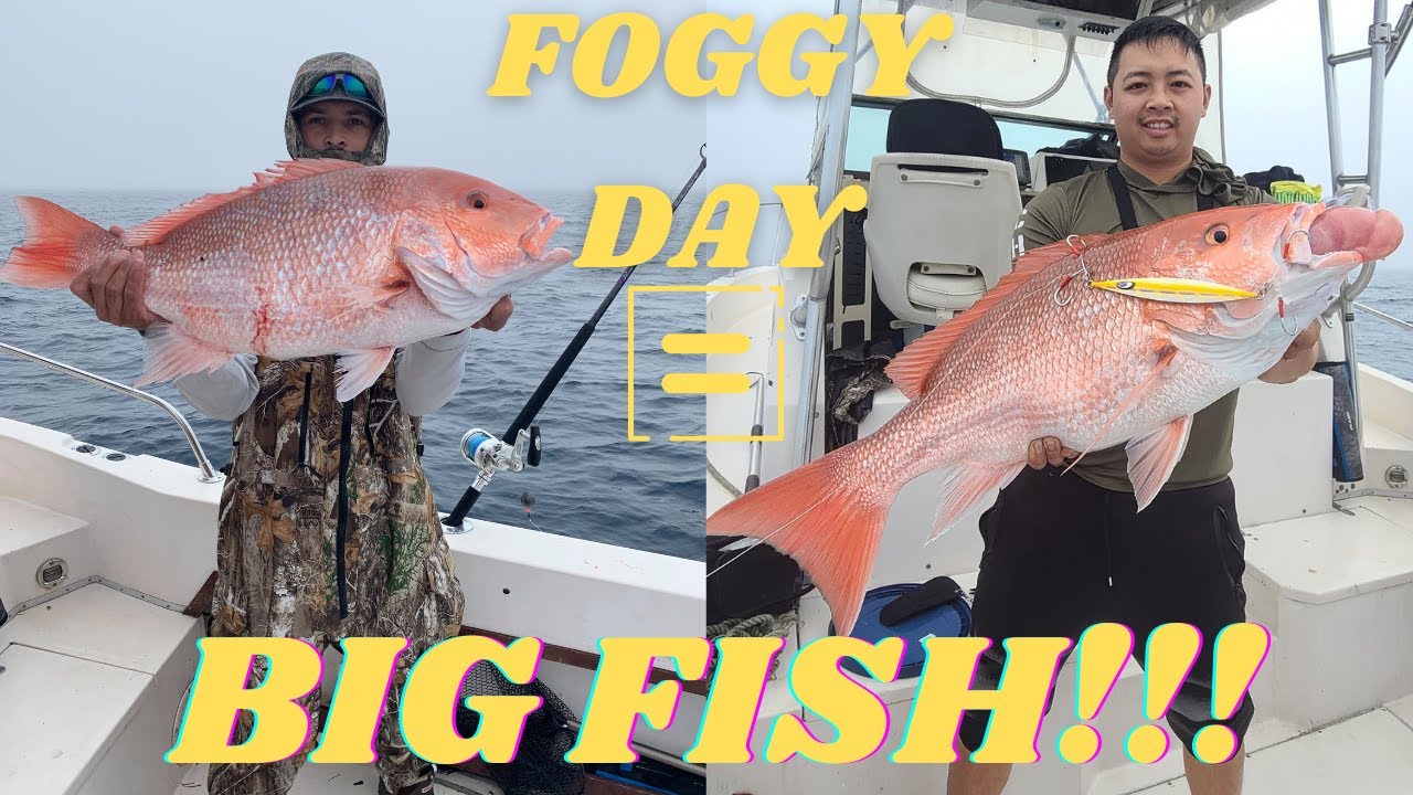 FISHING on FOGGY DAY equals BIG FISH!!!!! - YouTube