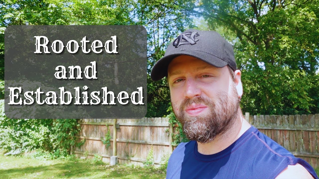 Rooted And Established - YouTube
