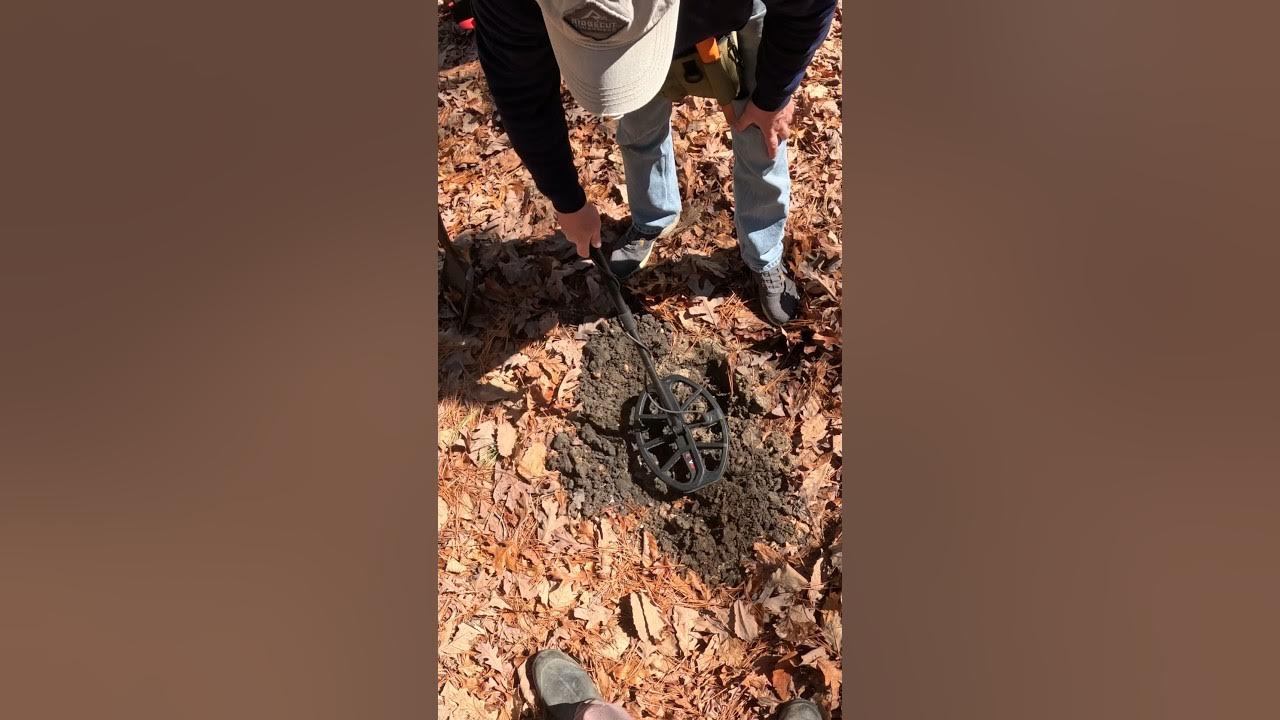 Metal Detecting In The Woods With My Minelab Vanquish 540 & Found Money! - YouTube