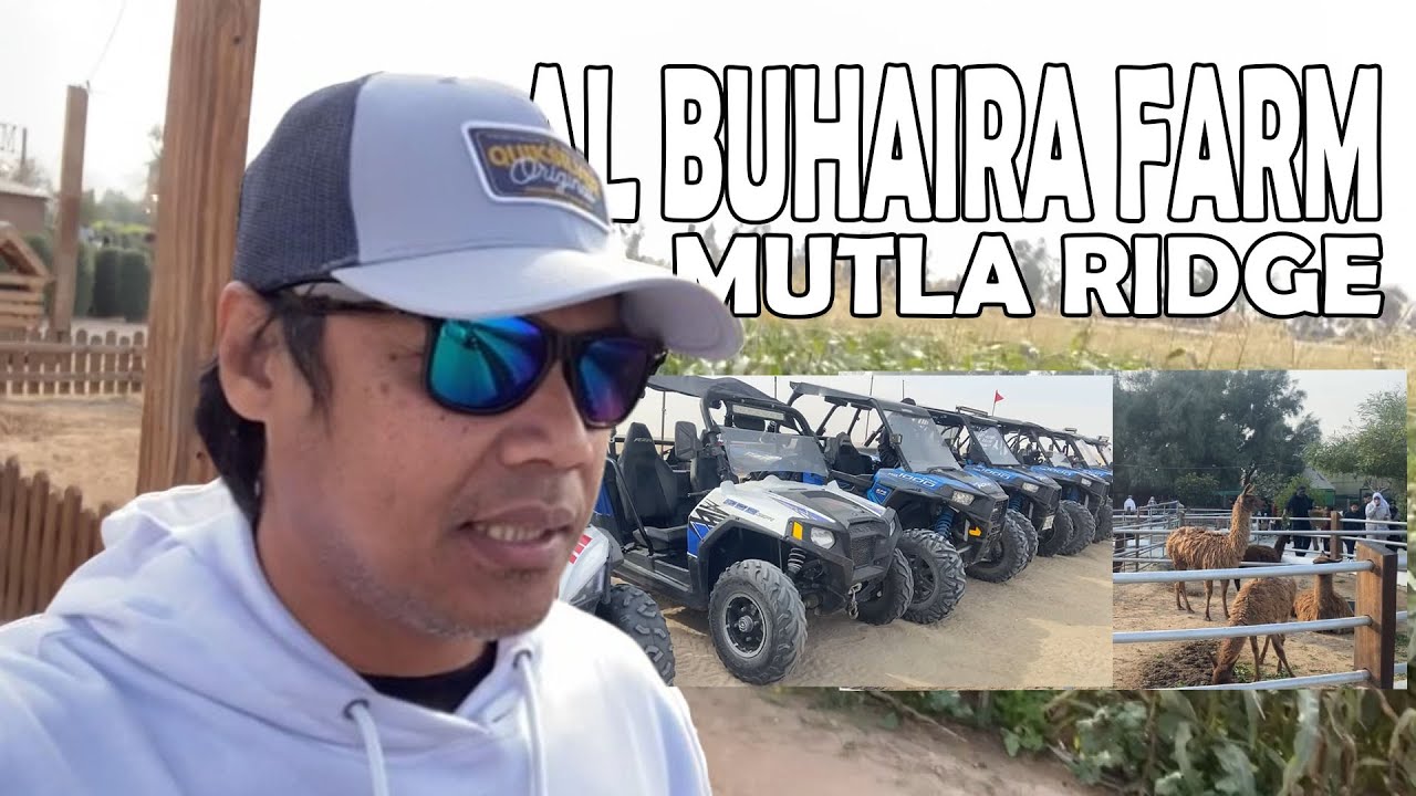 MUTLA RIDGE TO AL BUHAIRA FARM ABDALLY #ofwkuwait #roadtrip #pinoytaxi ...