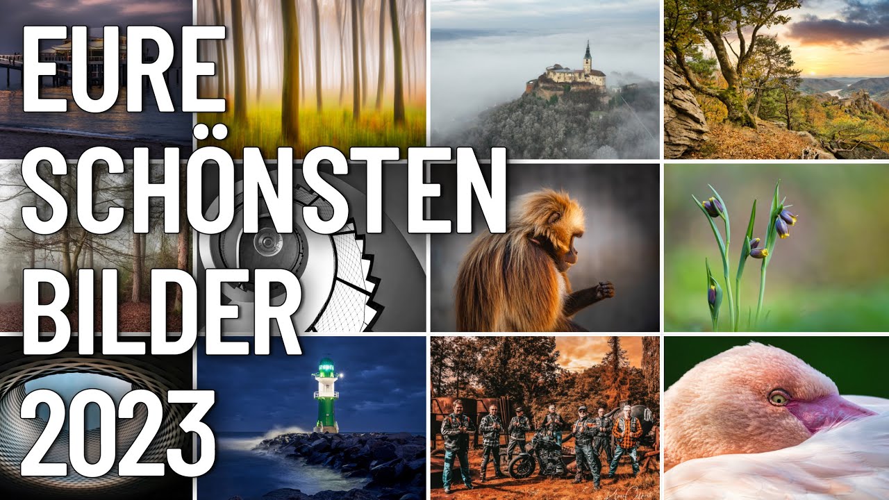 Wirklich toll! Eure schönsten Bilder 2023 - YouTube