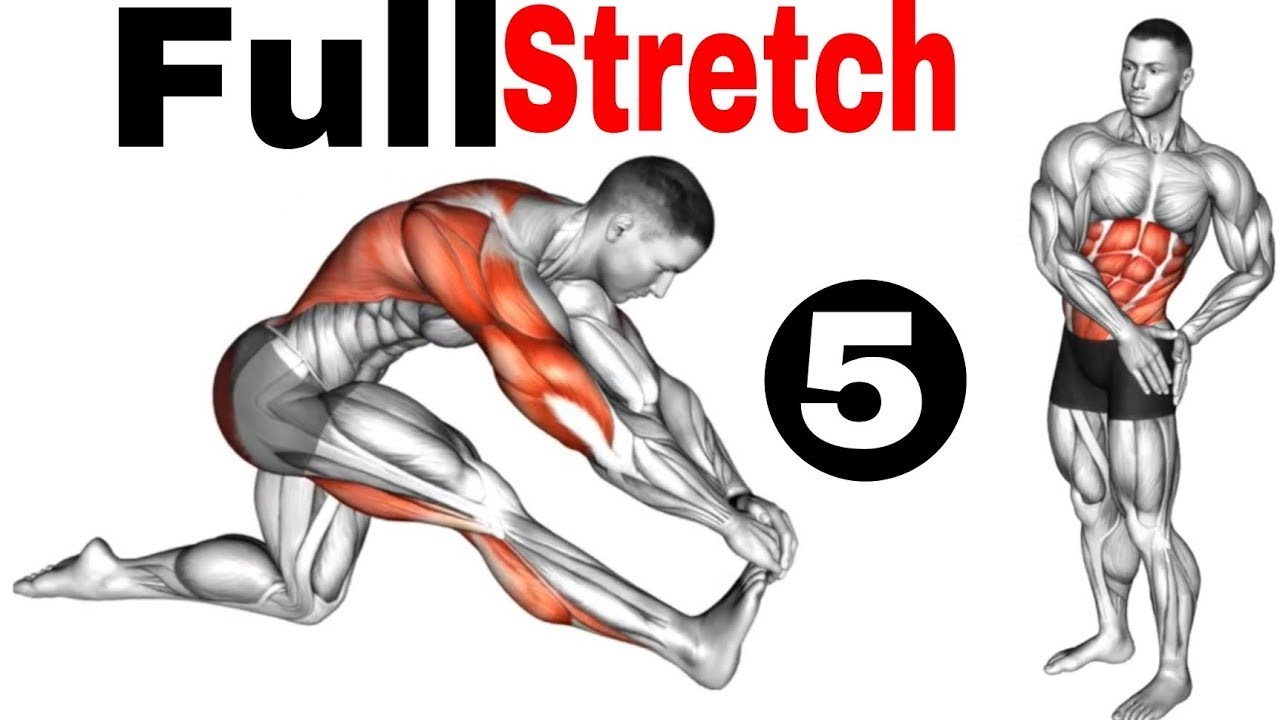 5 Best Exercise Morning Stretch Workout At Home - YouTube