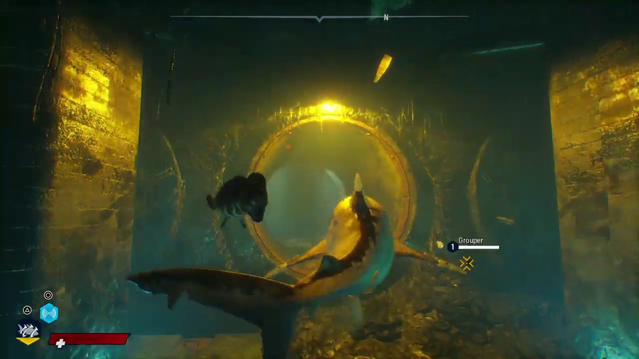 Maneater: crawfish bay 100% unlocked chests and signs - YouTube