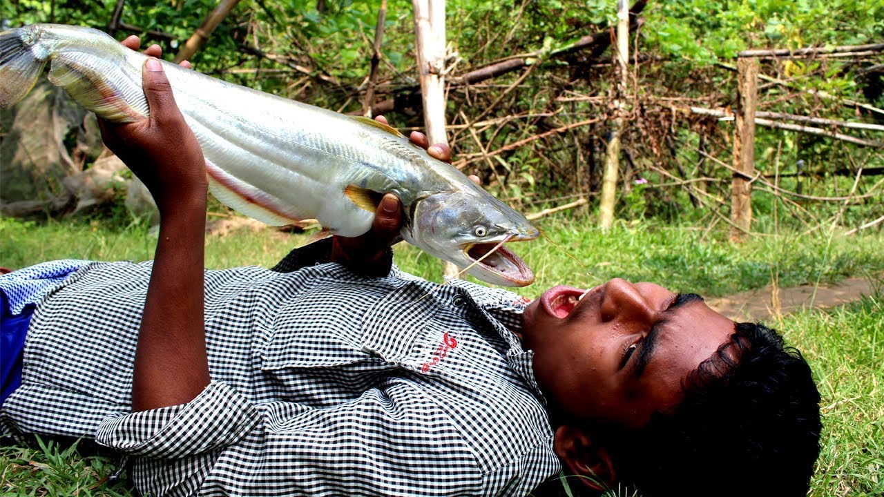 Big Boal Fish Recipe Cooking by our Grandmother | Fish Curry Indian ...