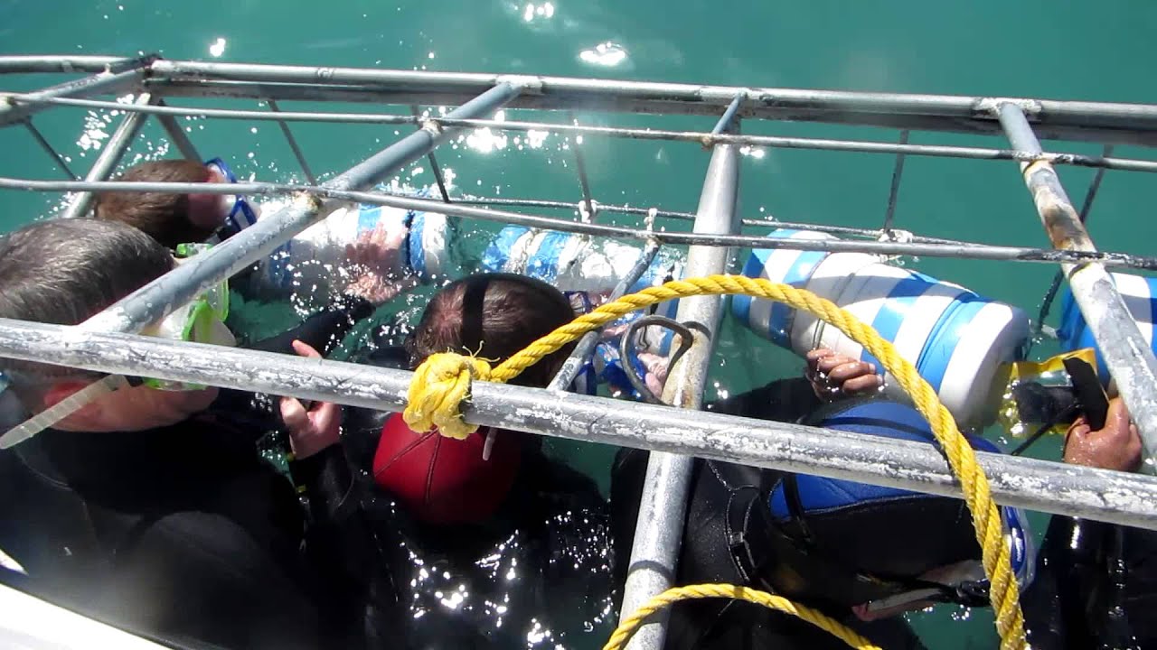 Shark Cave Diving 125 - YouTube