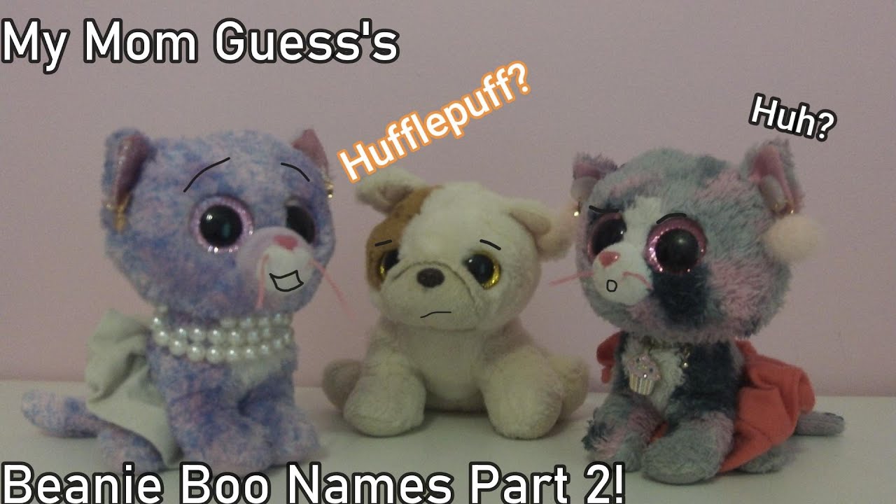 My Mom Guess's Beanie Boo Names Part 2! - YouTube