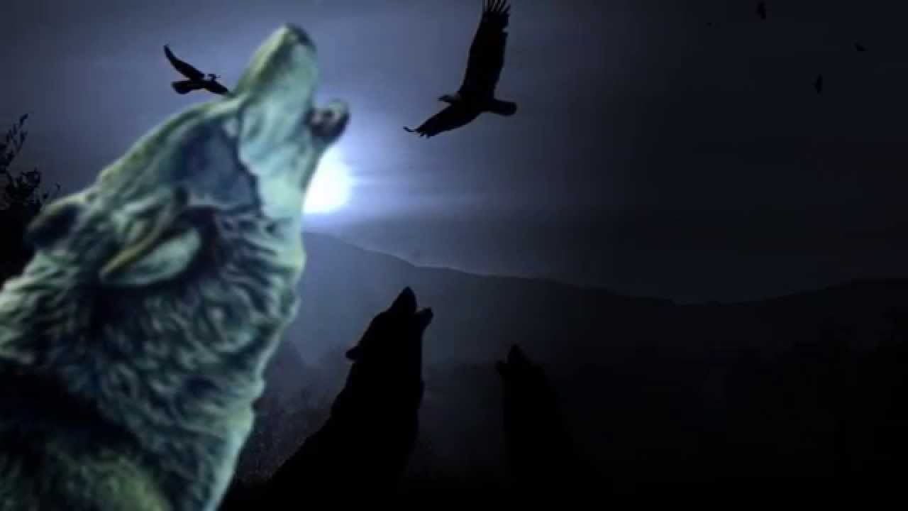 AULLIDOS DE LOBO (Music) - YouTube