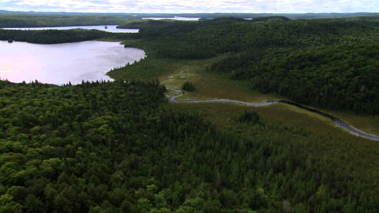 The Loggers of Algonquin Park (www.algonquinpark.on.ca) - YouTube