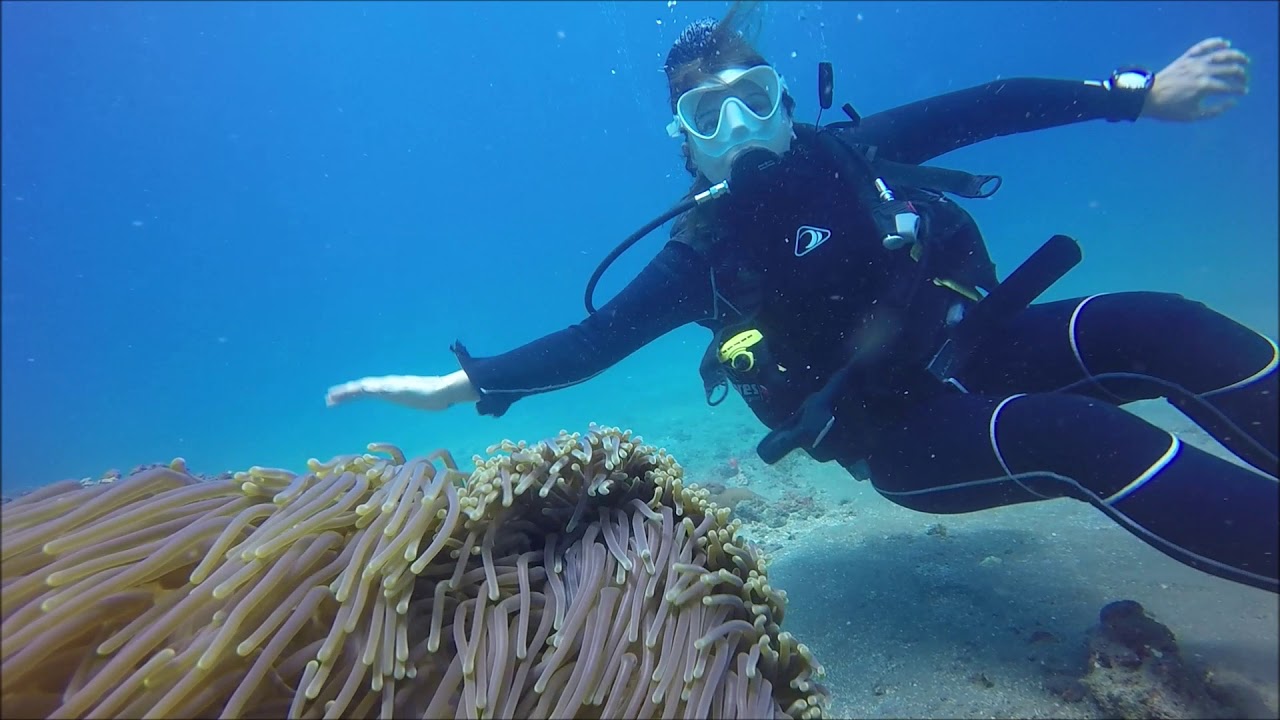 Buceo en Bali 2 - YouTube