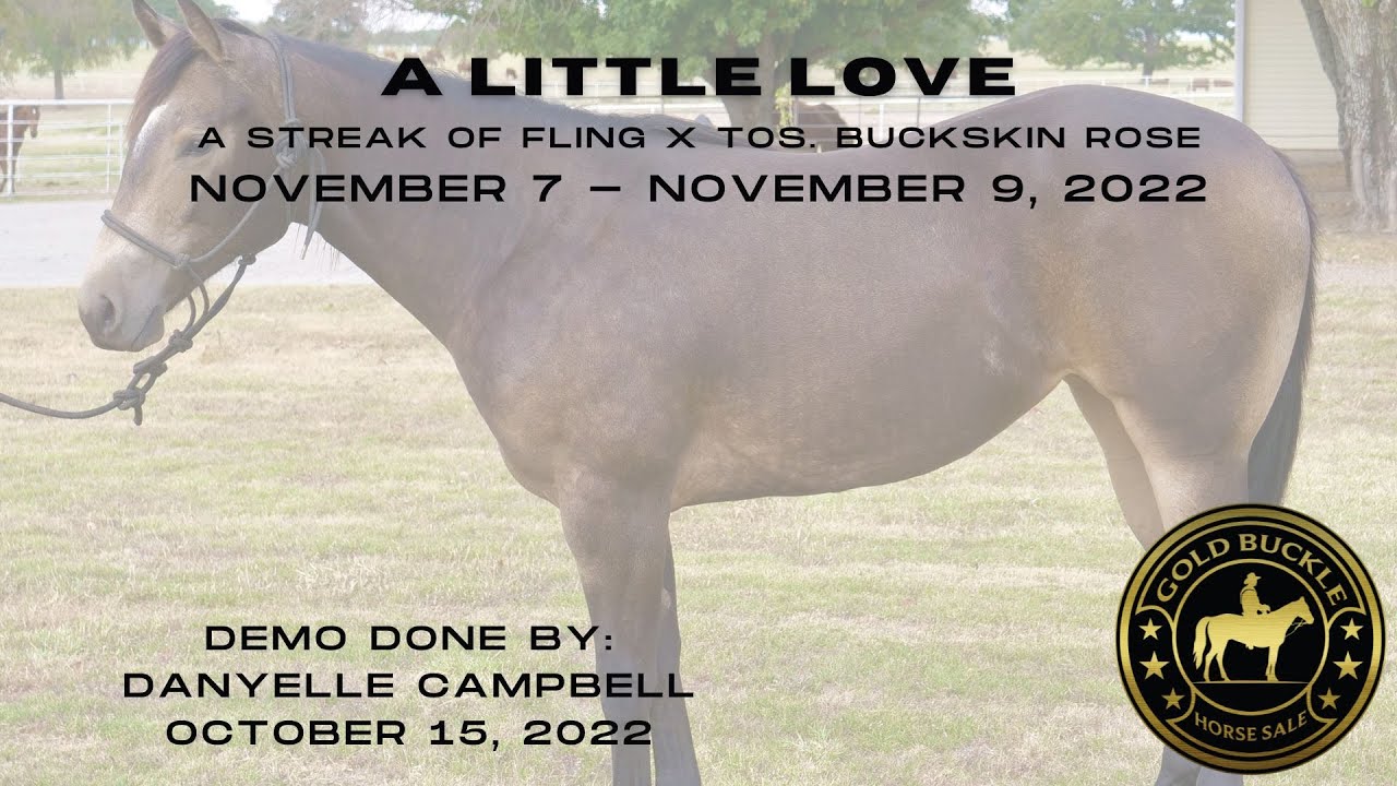 A Little Love - Pink, Ruby & Riata Buckle Yearling Gold Buckle Demo ...