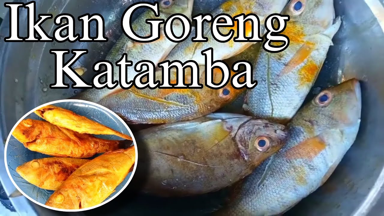 Ikan Katamba goreng nikmat bikin habis nasi - YouTube