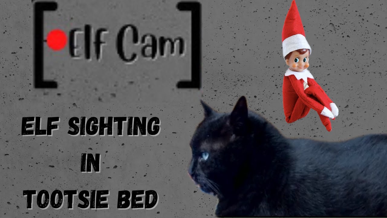 1302) Elf Sighting in Tootsie's Bed - YouTube