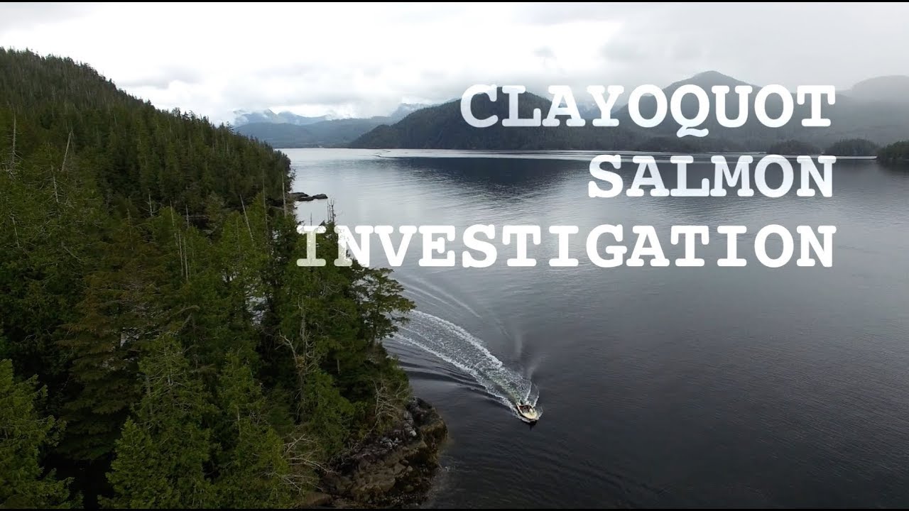 CSI Trailer—2017 - YouTube