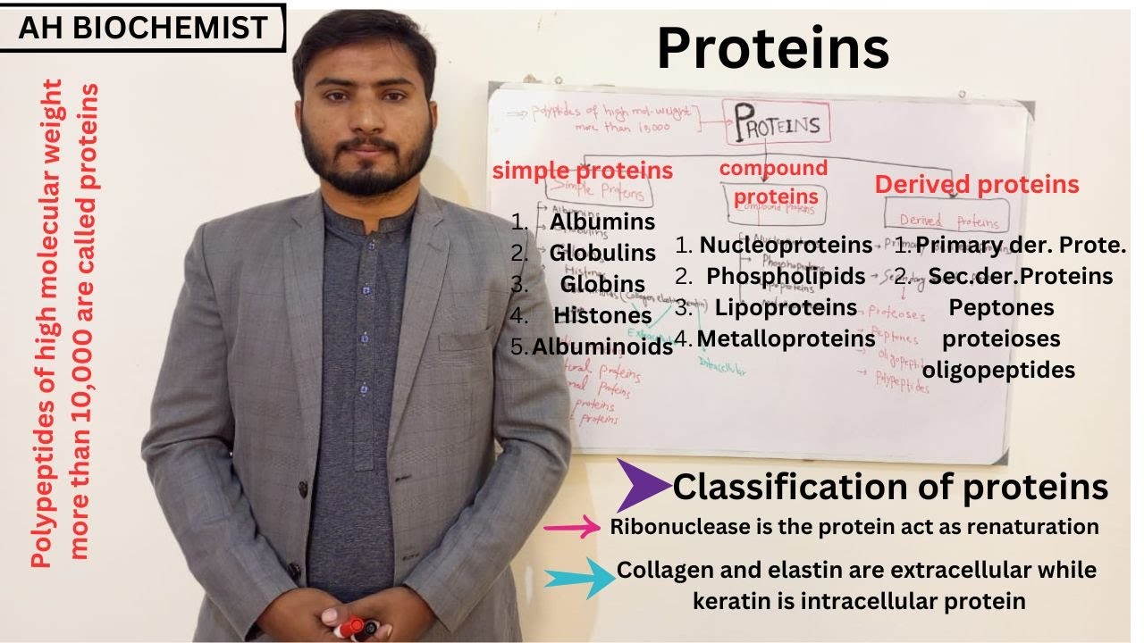Proteins and classification|protein biochemistry|classification of ...
