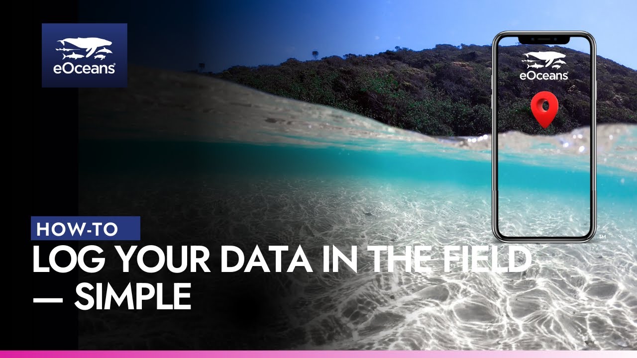 How to log — Simple | eOceans® - YouTube