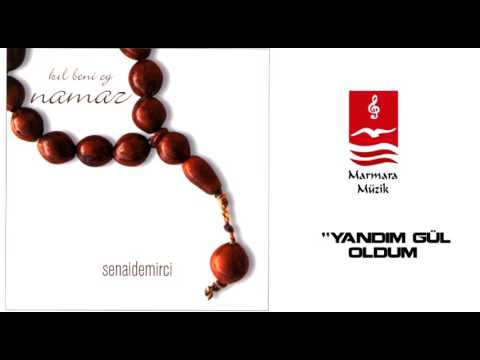 SENAİ DEMİRCİ \