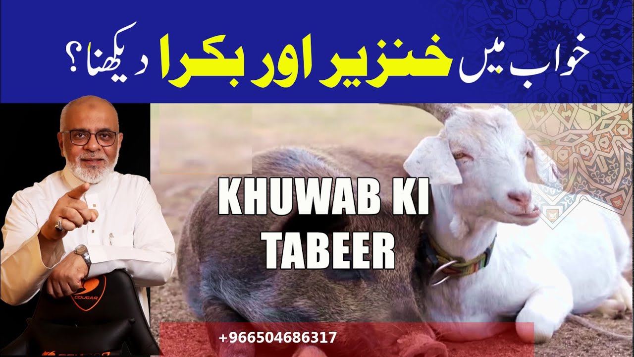 Khuwab Mein Khinzeer aur Bakra Dekhnay Ki Tabeer ? خواب میں خنزیر اور ...