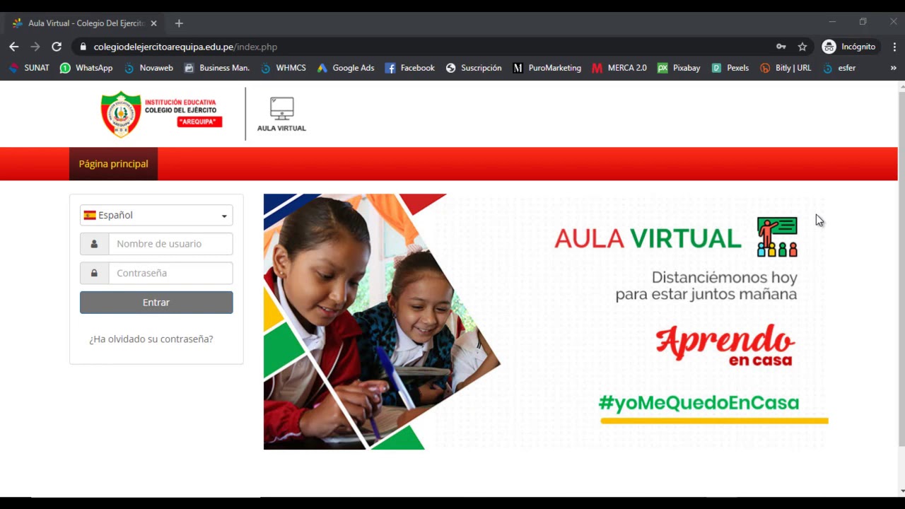 Tutorial Aula Virtual - YouTube