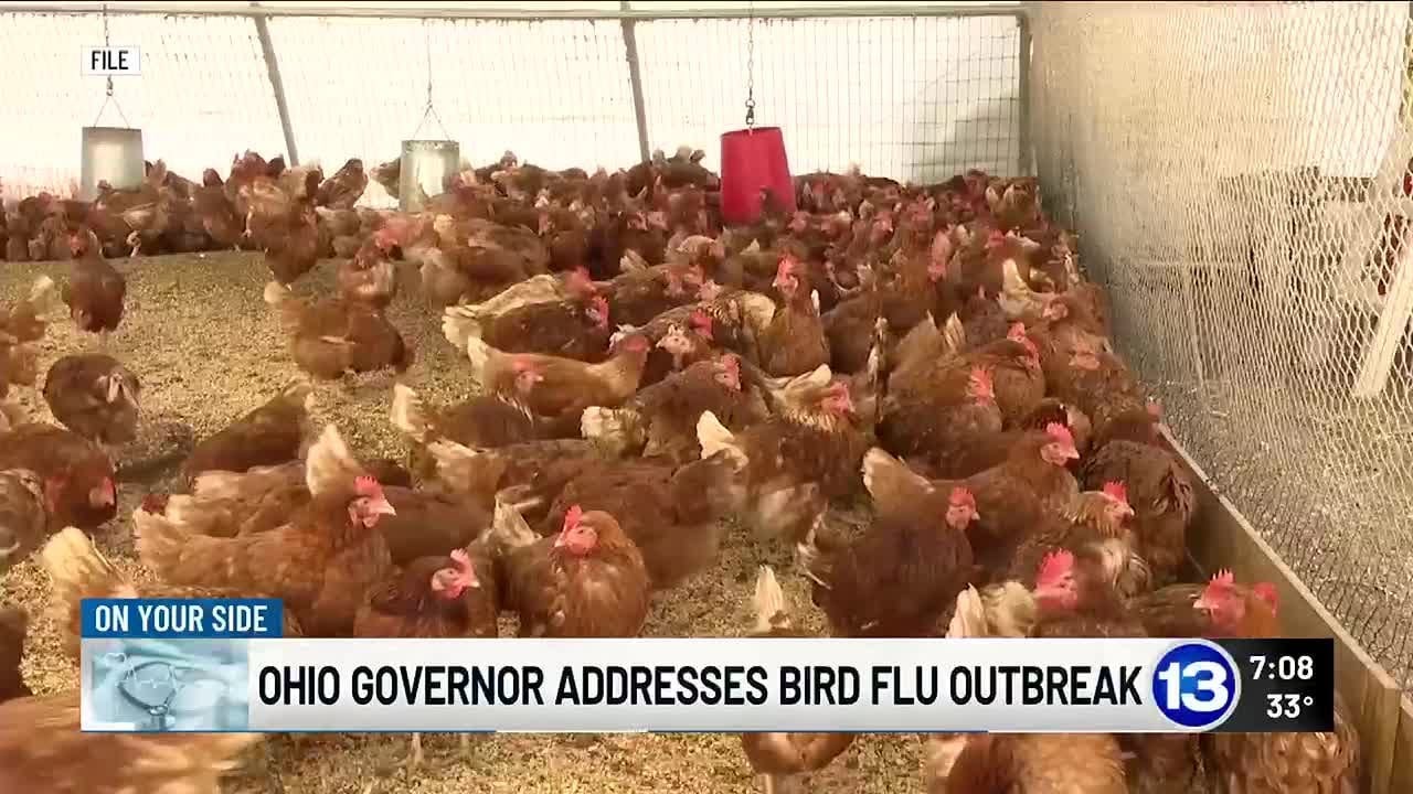 Governor DeWine addresses bird flu outbreak in Ohio - YouTube