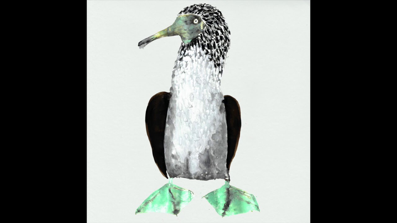 Cosmo Sheldrake - Islands (Galápagos Original Series Soundtrack) - YouTube