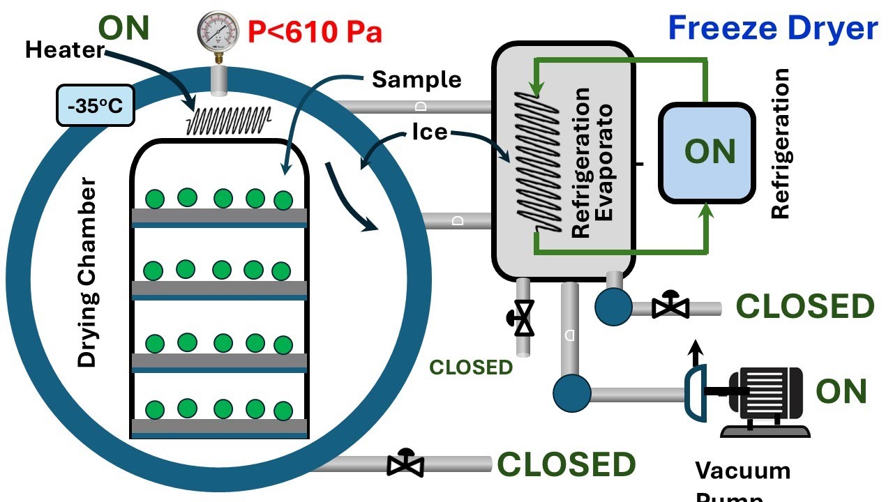 Operation of a Multi-Operating-Stage of Freeze-Drying - YouTube