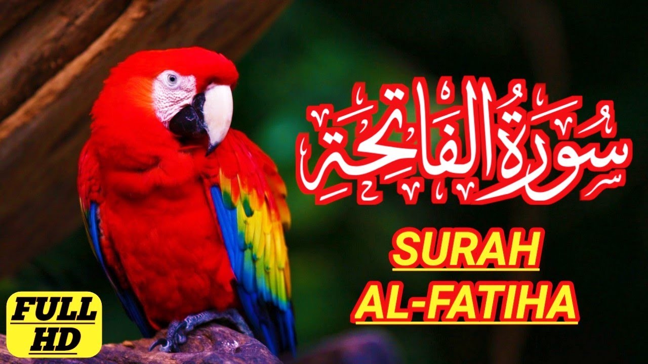 Surah Al Fatiha | Al faatiha | quraan online | surah fatiha | in arabic ...